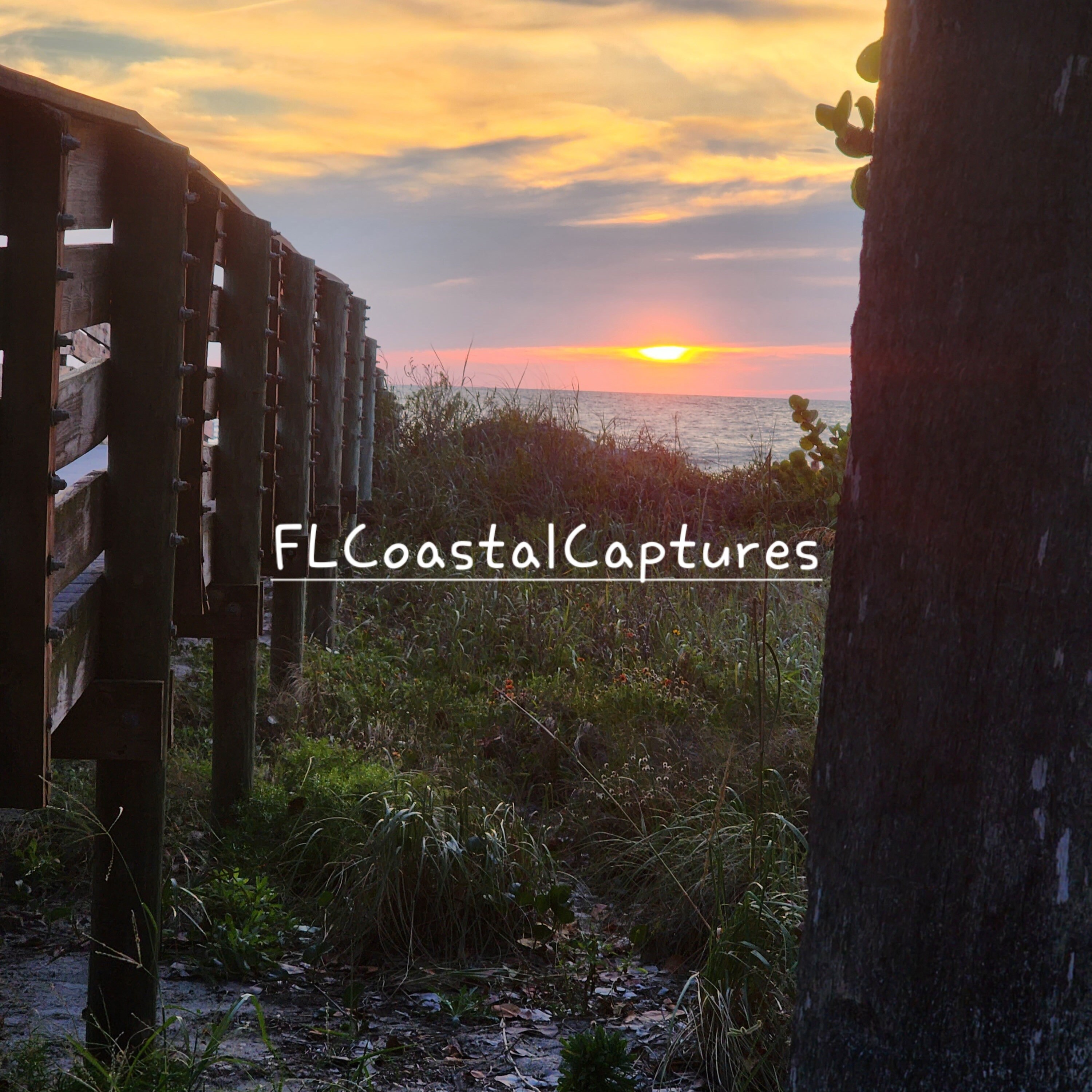 Indian Rocks Beach Sand Dunes - Etsy