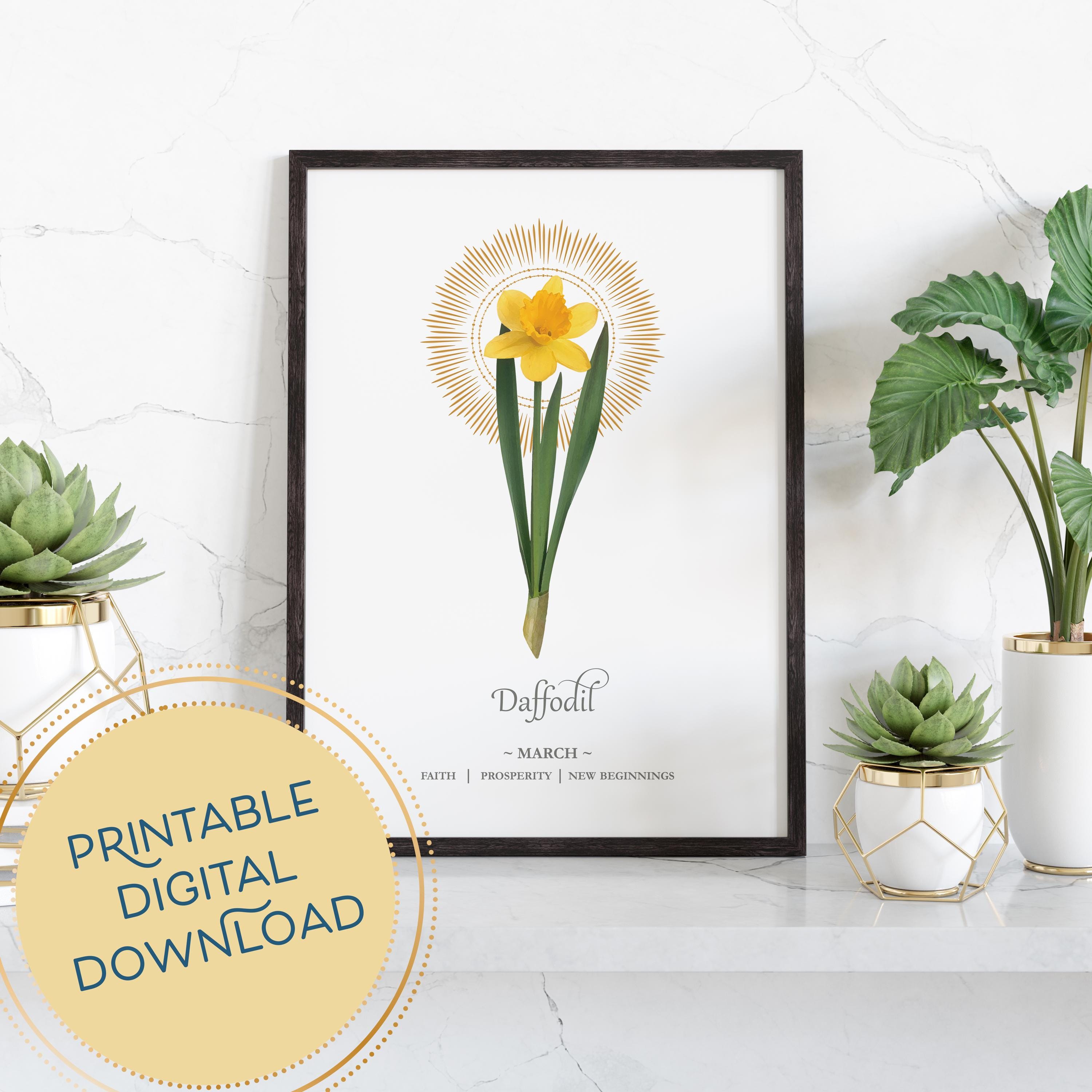Daffodil Flower Art Print: March Birth Flower (digital Download) - Etsy