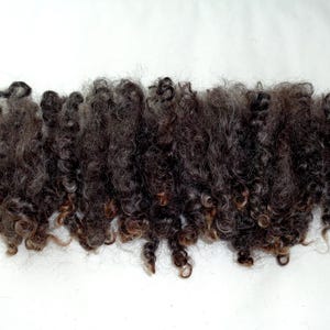 Short Wensleydale Wool Locks Natural Gray With Brown Tips 10g/0.35oz ...