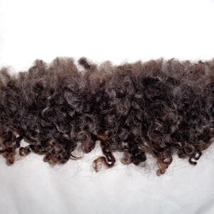 Short Wensleydale Wool Locks Natural Gray With Brown Tips 10g/0.35oz ...