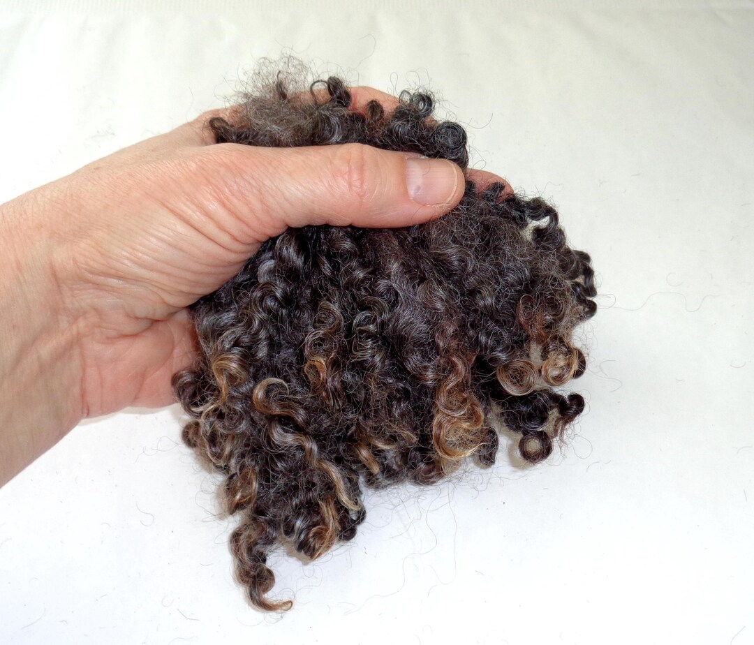 Short Wensleydale Wool Locks Natural Gray With Brown Tips 10g/0.35oz ...