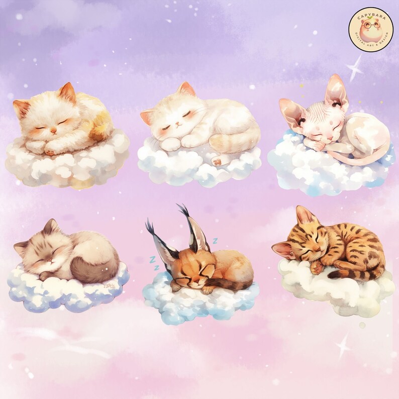 Cats Clipart Bundle Cute Cats 12 PNG & 12 JPG Perfect for Card Making ...