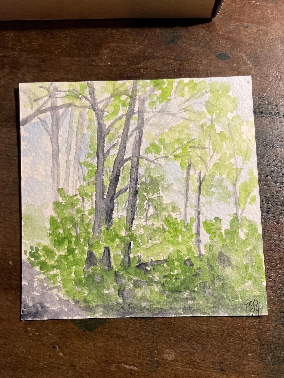 View From the Front Yard Original Watercolor Painting by Jennifer St ...