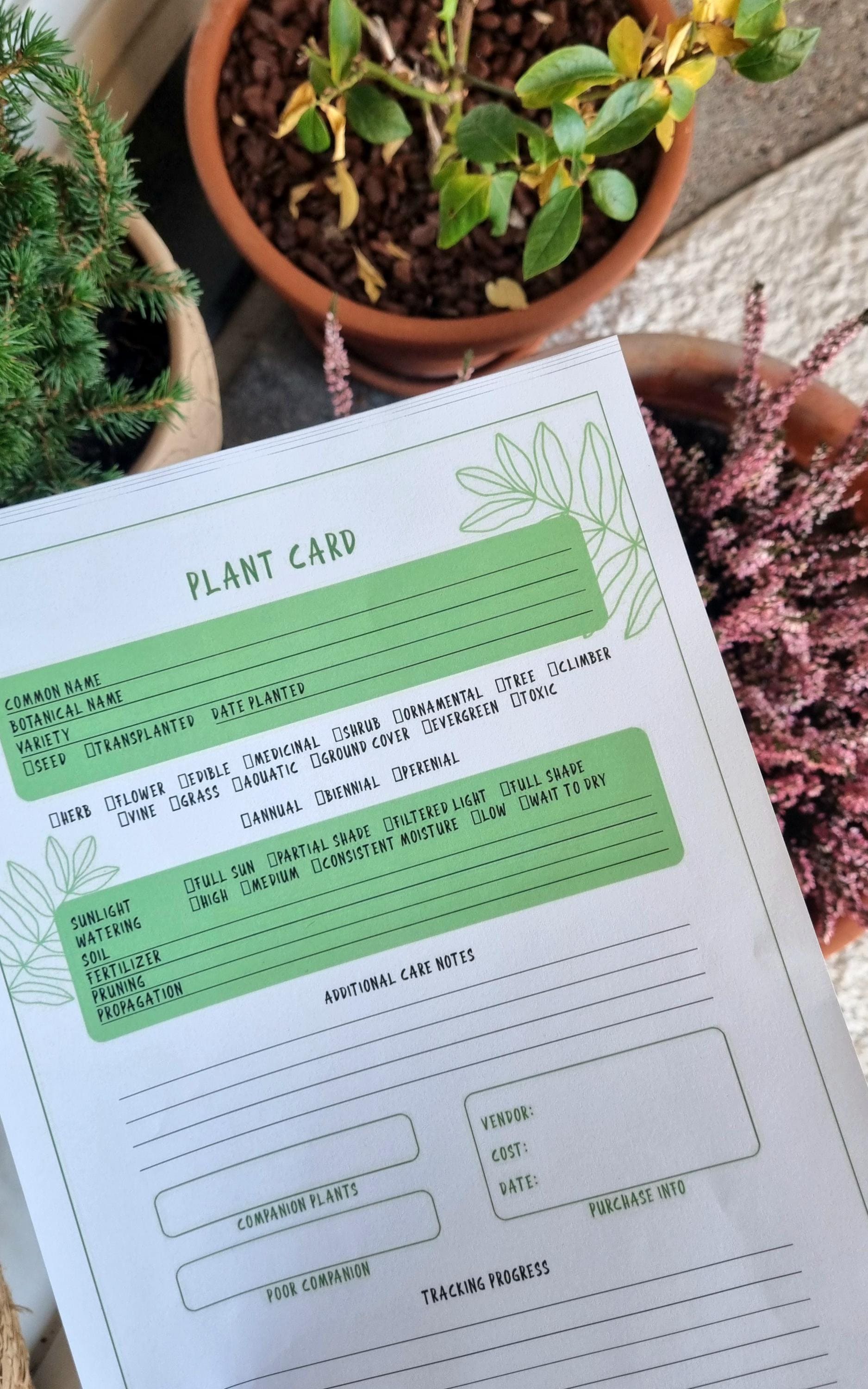 Printable Plant ID Card – PDF for Garden Planner - Etsy