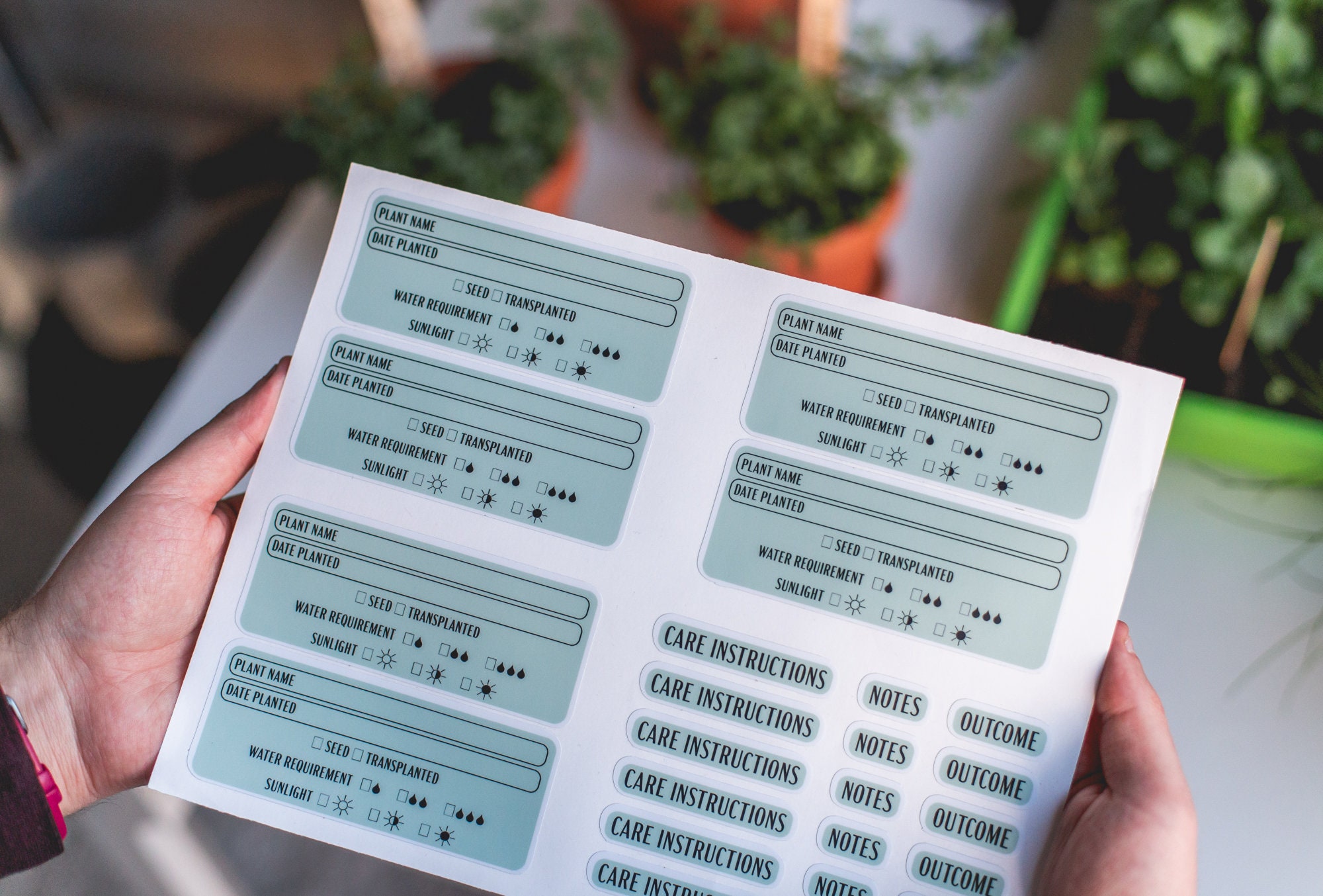 Gardening Sticker Sheet to Organize Your Gardening Journal. Beautiful ...