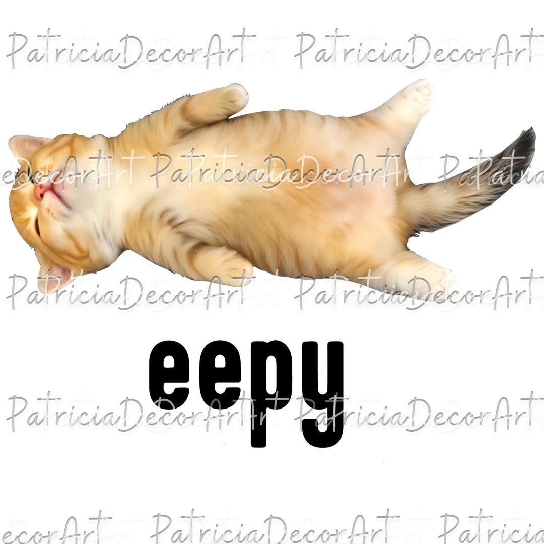 Eppy Cat Meme PNG SVG, Funny Gen Z Cat Design, Stupid Brainrot Humor ...