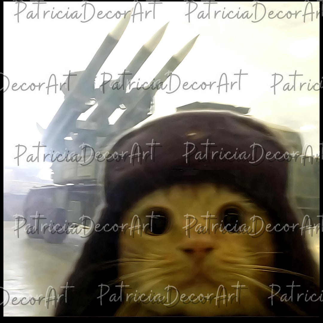 Scared Military Cat Meme PNG Svg, Funny Gen Z Brainrot Cat Design ...