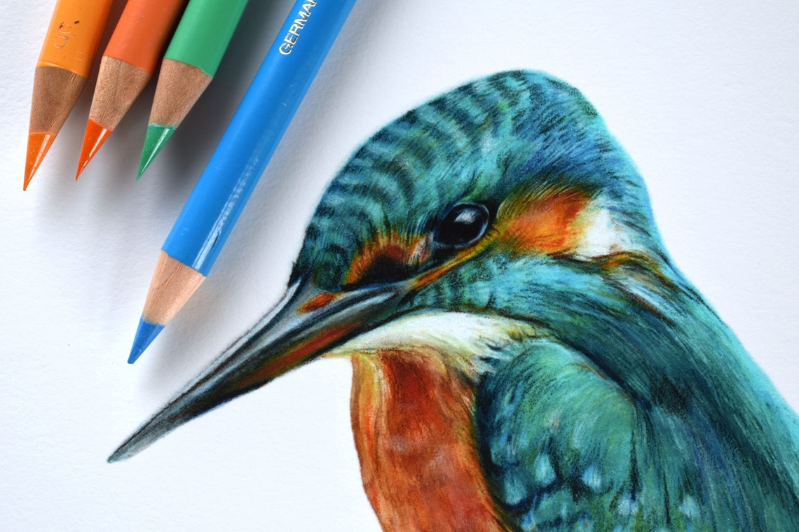 Kingfisher's Perch stunning Wildlife Giclee Print.vibrant Feathers ...