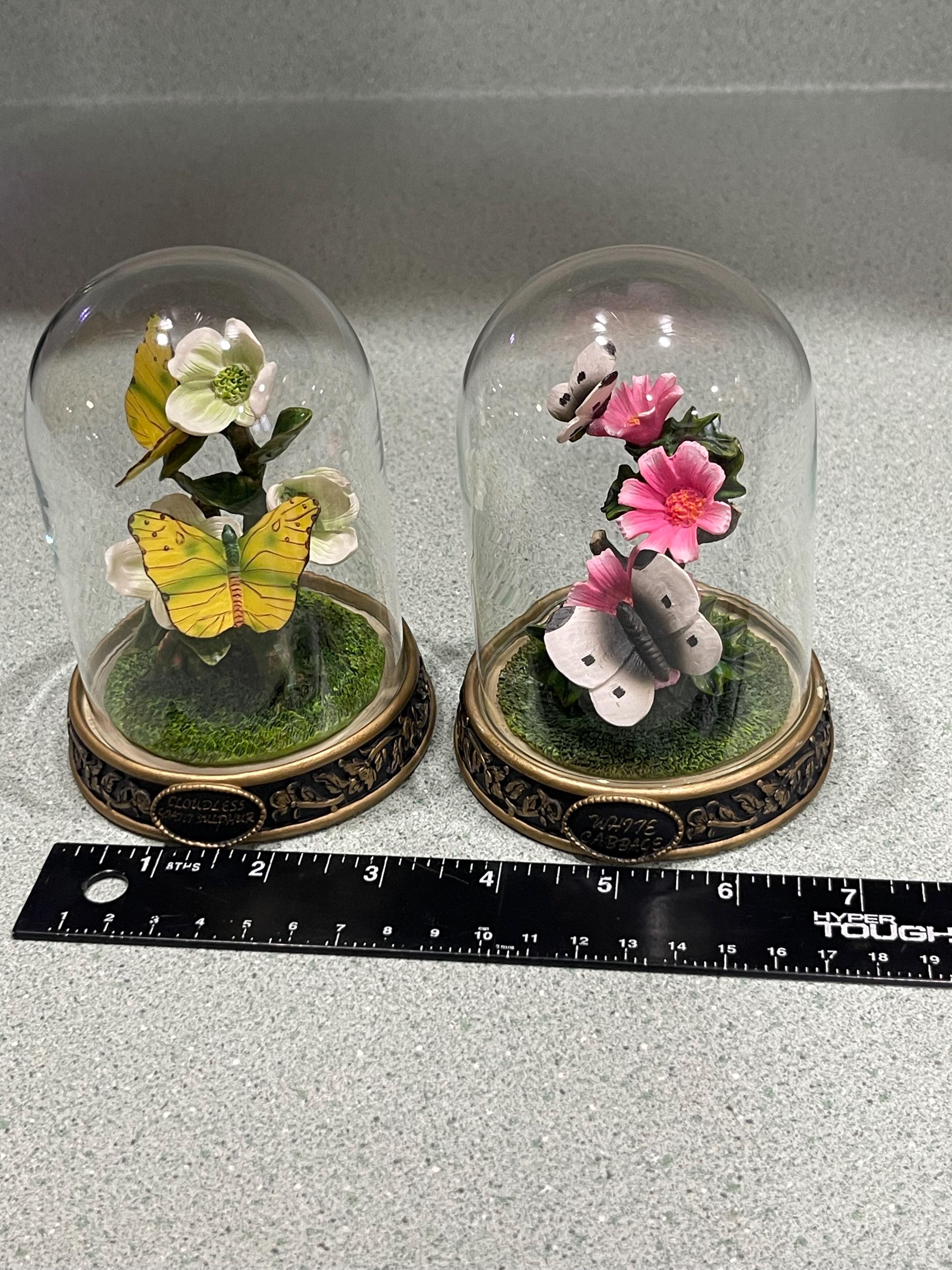 White Cabbage Butterfly Under Glass Dome Set of 2 - Etsy