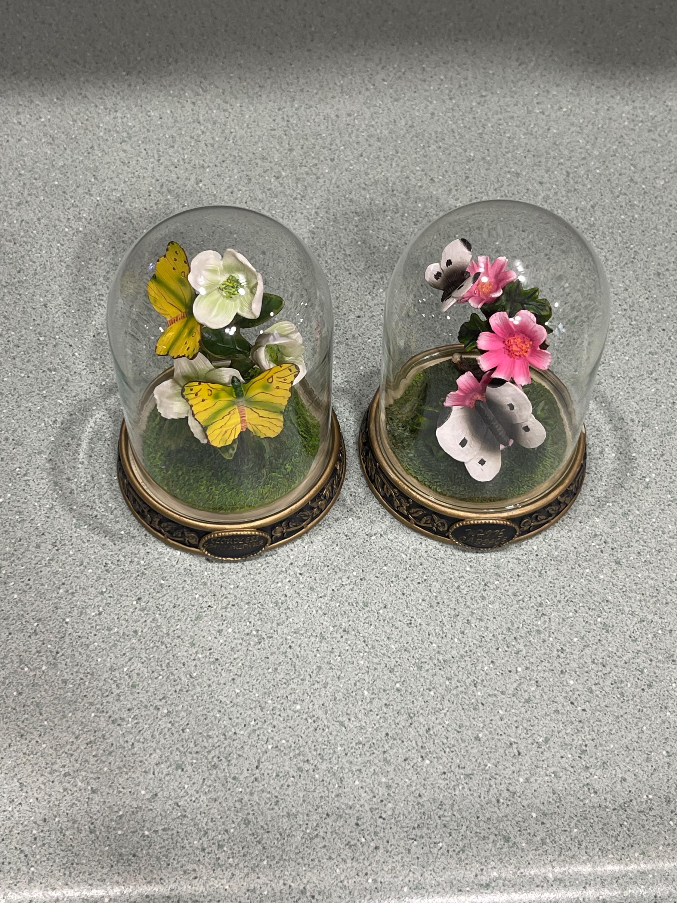 White Cabbage Butterfly Under Glass Dome Set of 2 - Etsy