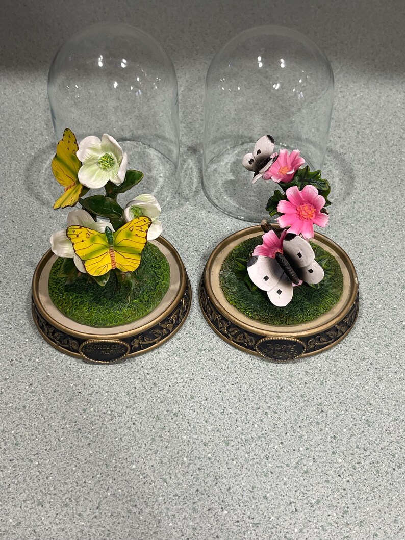 White Cabbage Butterfly Under Glass Dome Set of 2 - Etsy