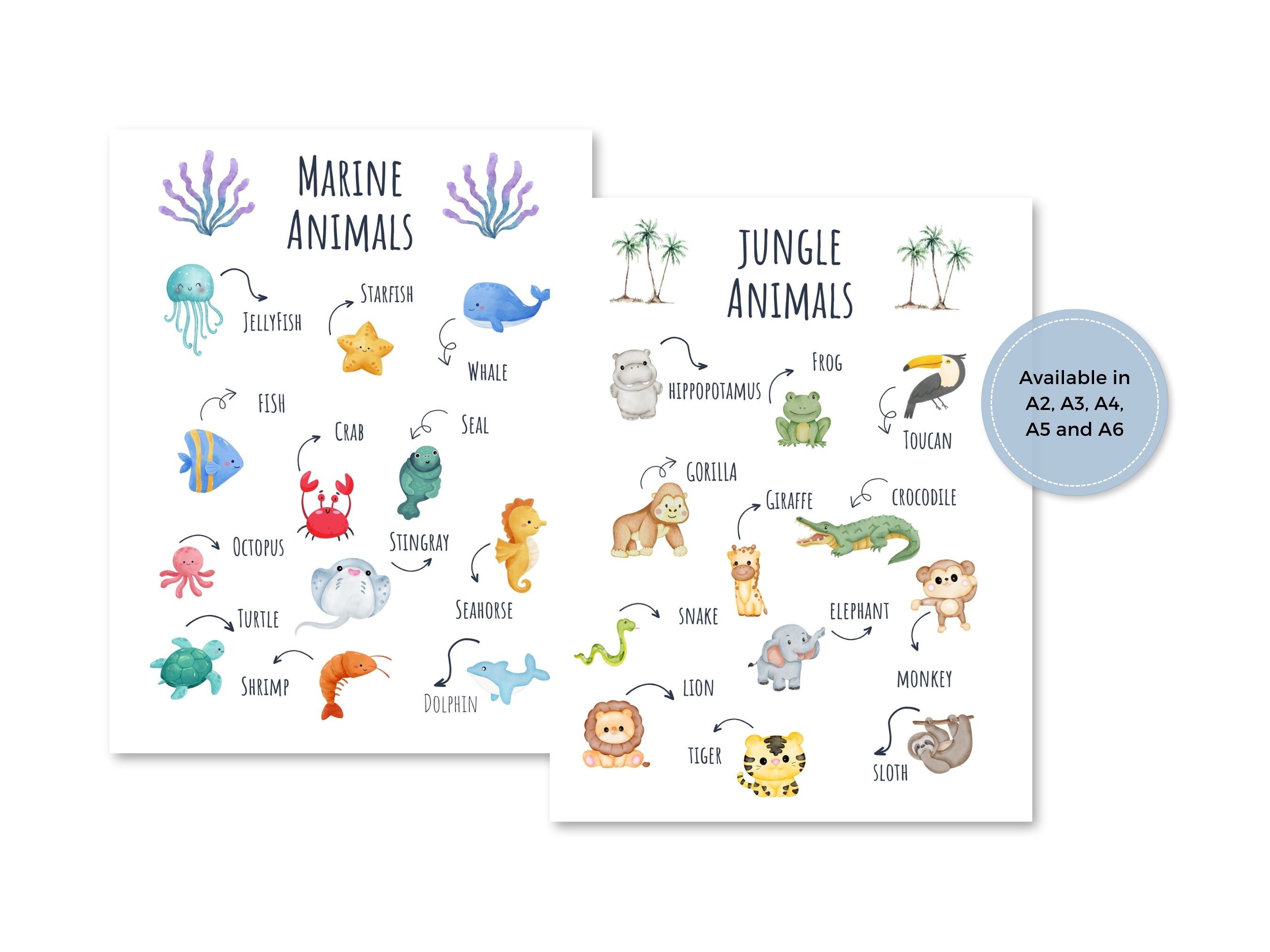 Jungle Animals Educational Poster, Marine Animals Educational Poster ...