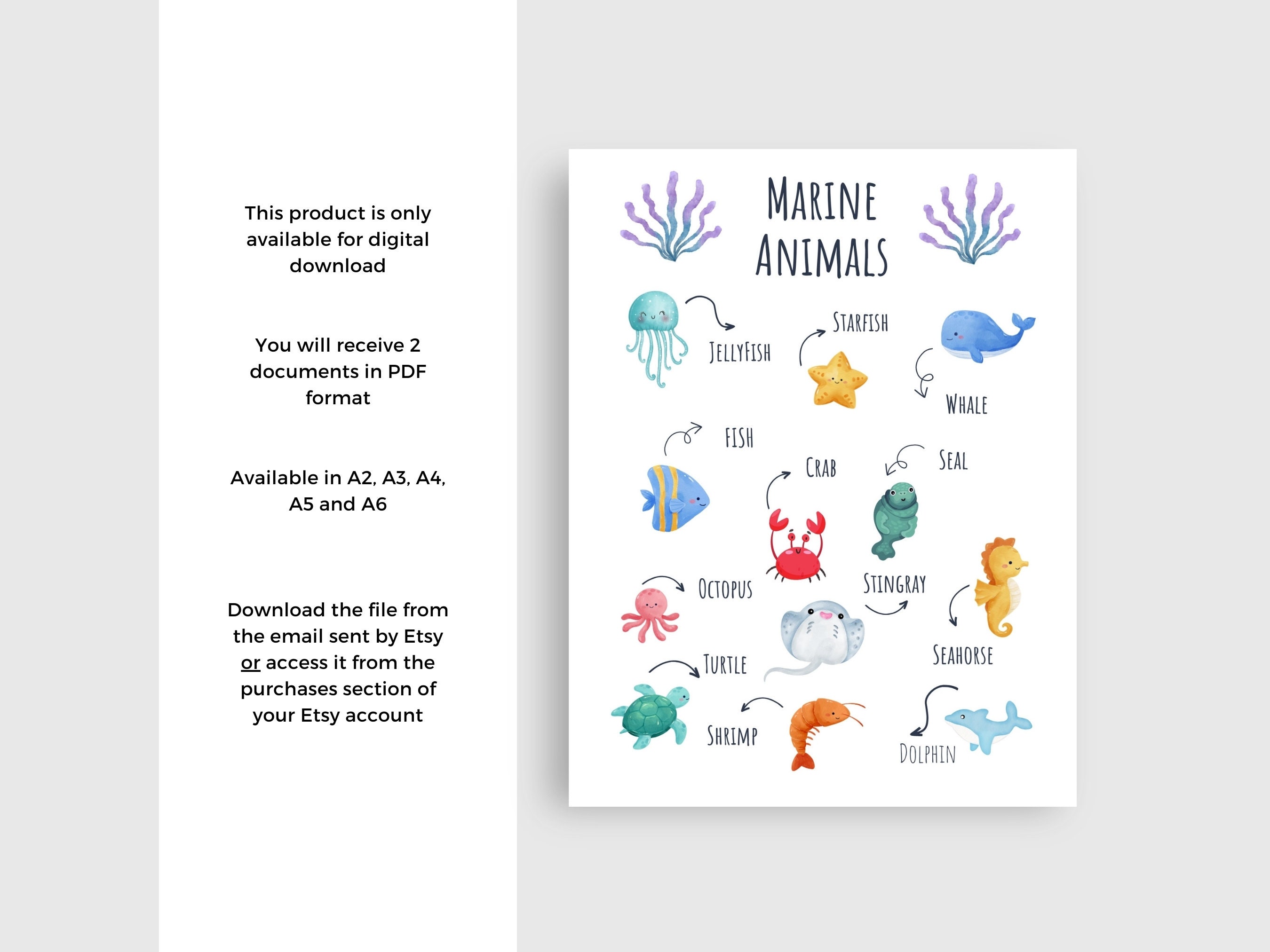 Jungle Animals Educational Poster, Marine Animals Educational Poster ...