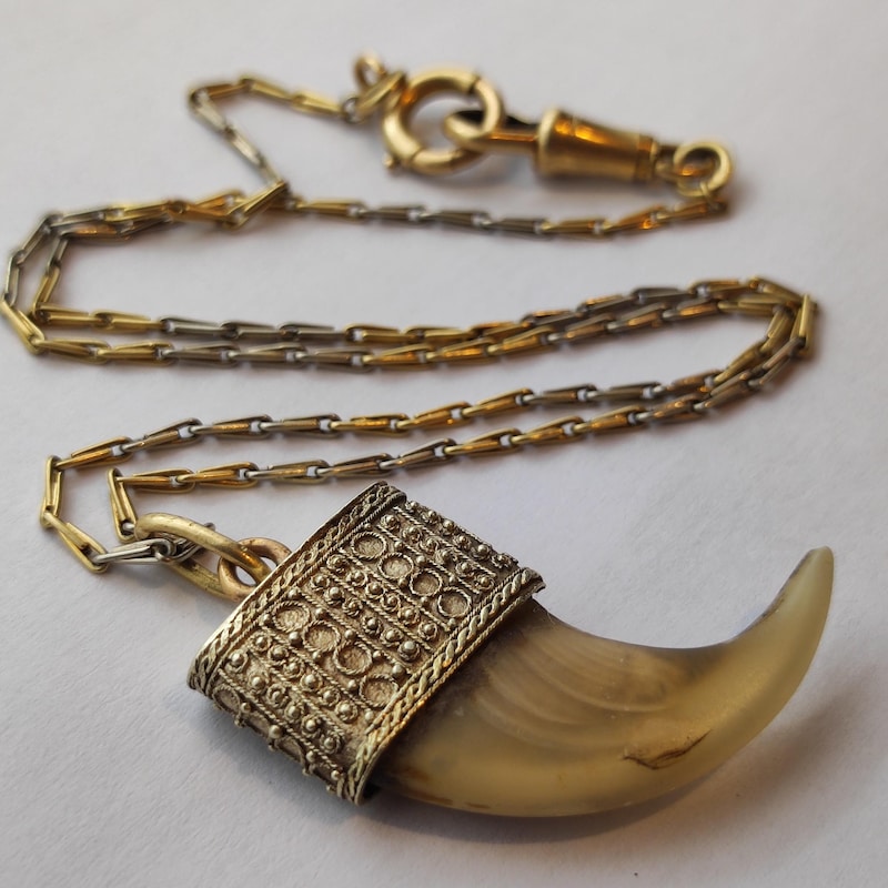 Buy Tiger Nail Pendant Online In India - Etsy India