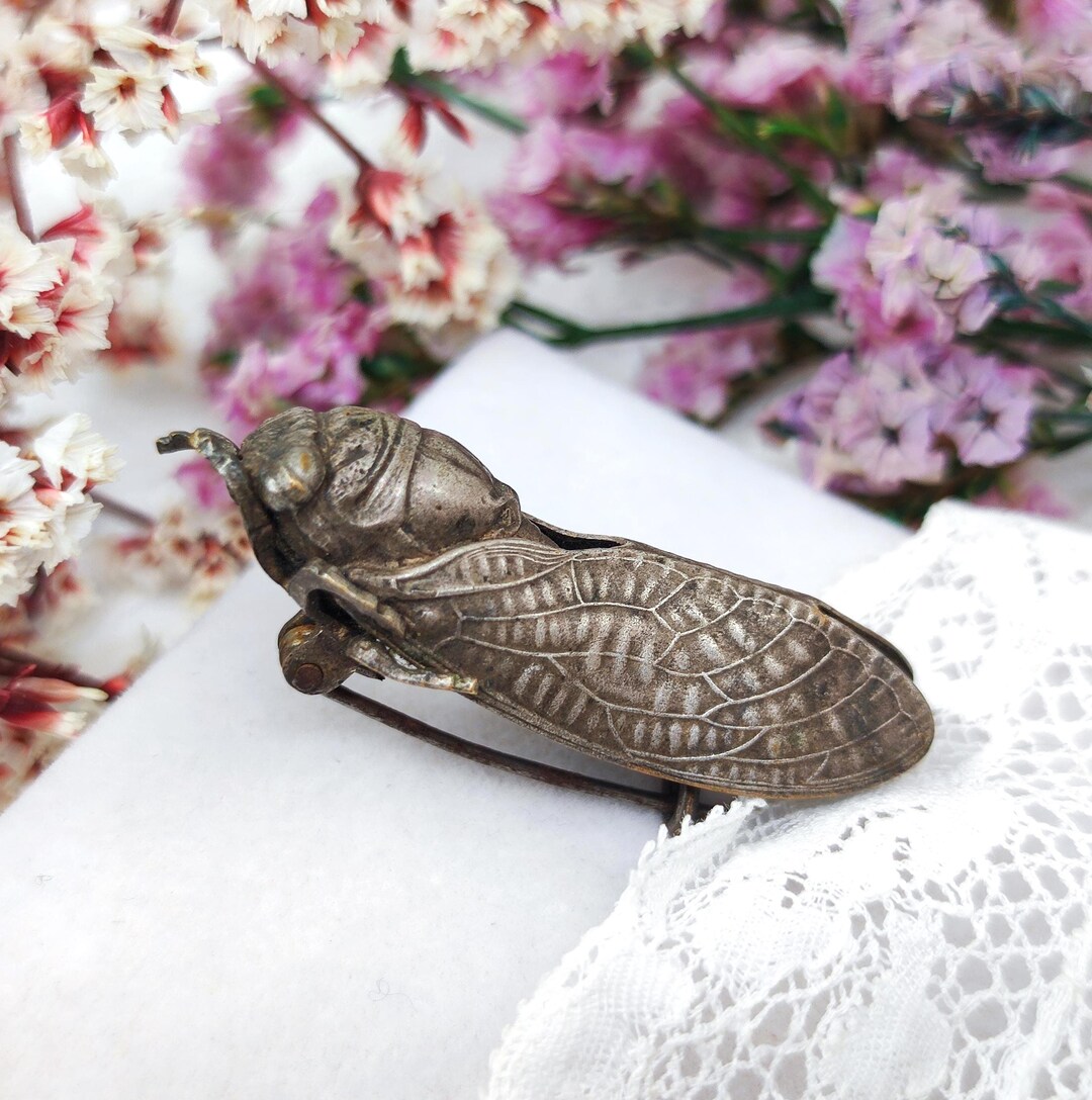 Antique Silver-plated French Cicada Brooch. Realistic, Rare. Victorian ...