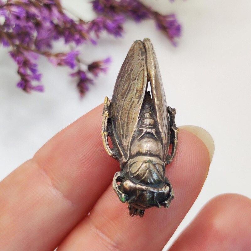 Cicada Brooch - Etsy