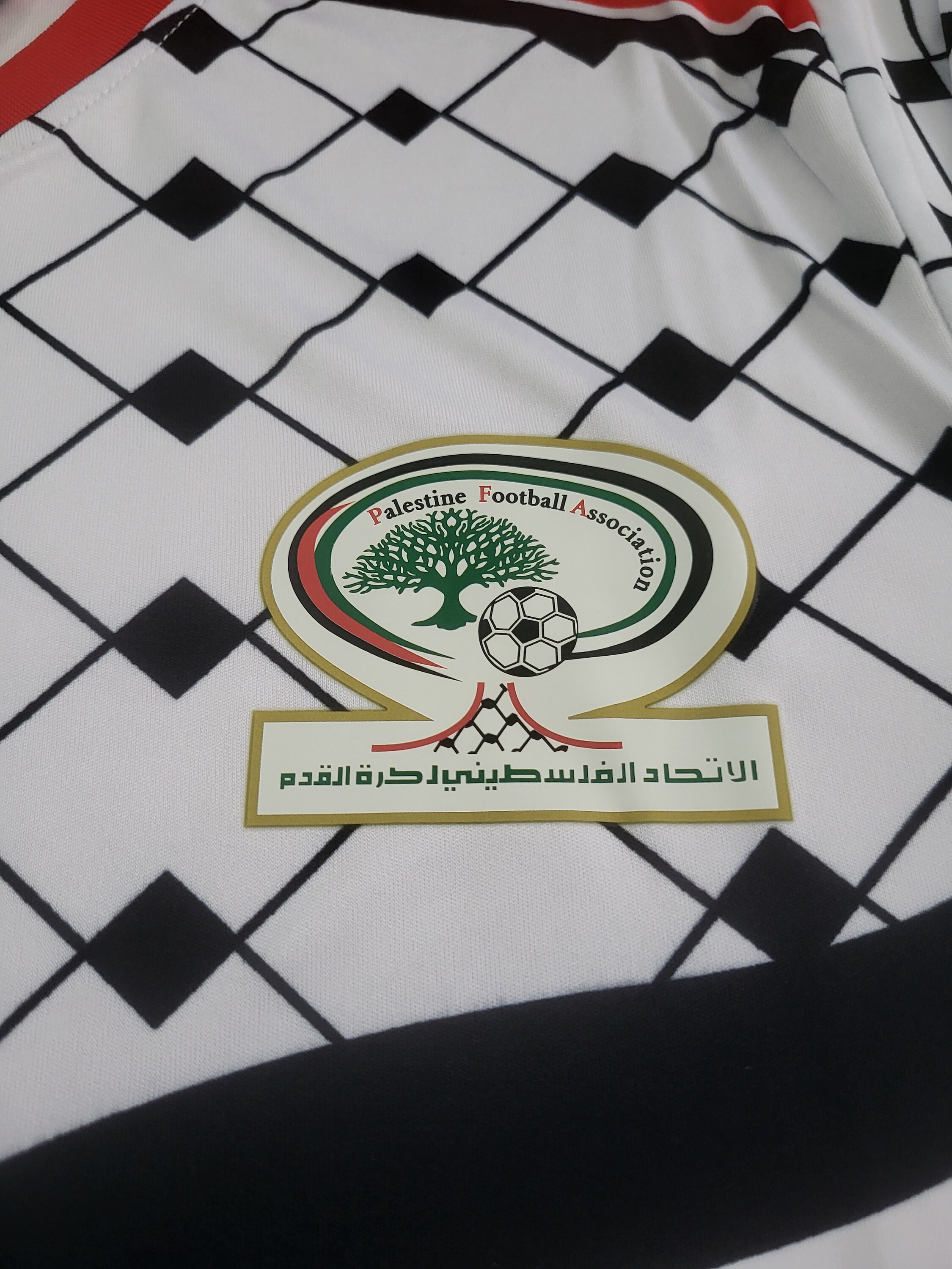 T-shirt Fc Palestine 2024, T-shirt Palestine, Free Shipping, Free ...