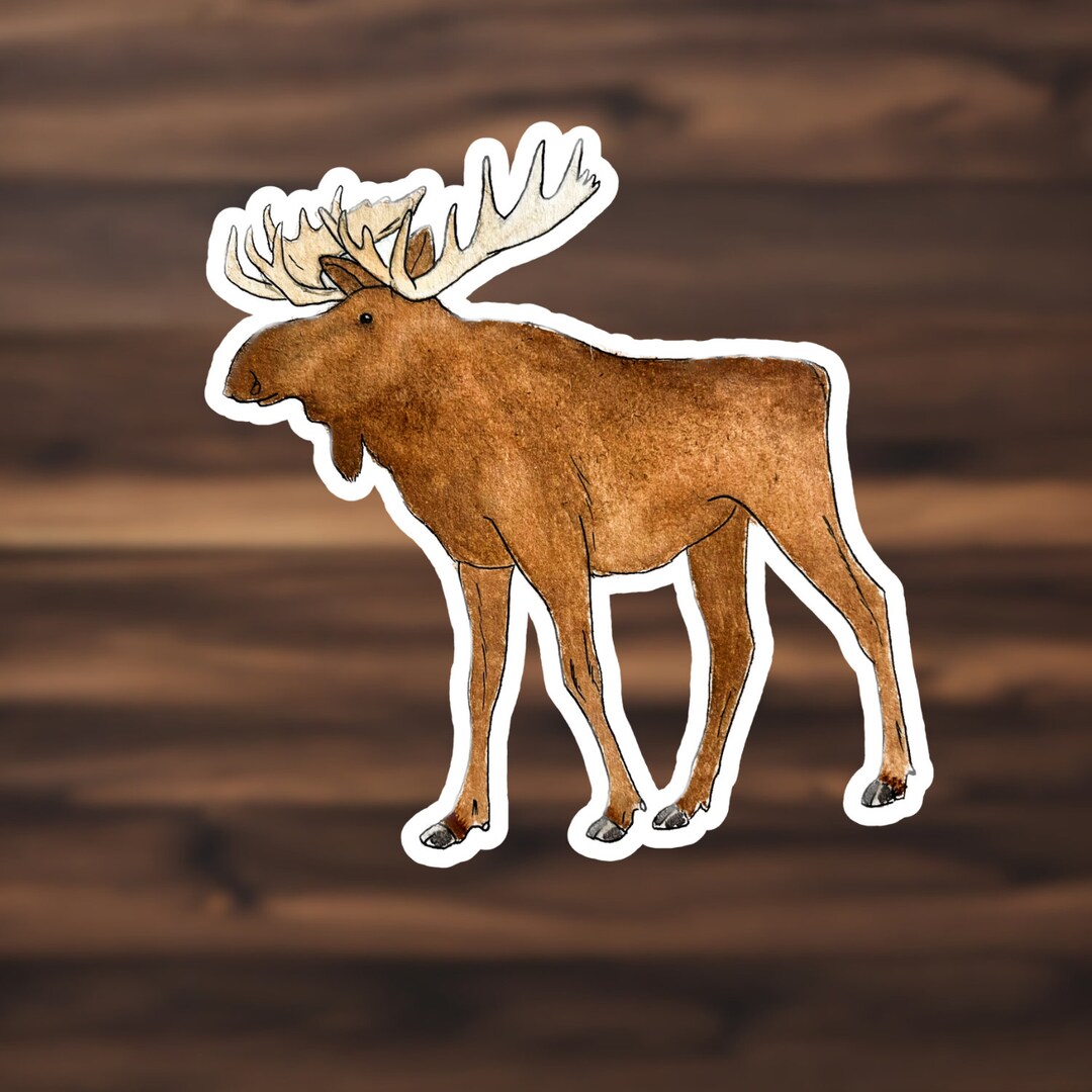 Moose Sticker, Moose Watercolor, Hand Painted Moose, Watercolor Sticker ...
