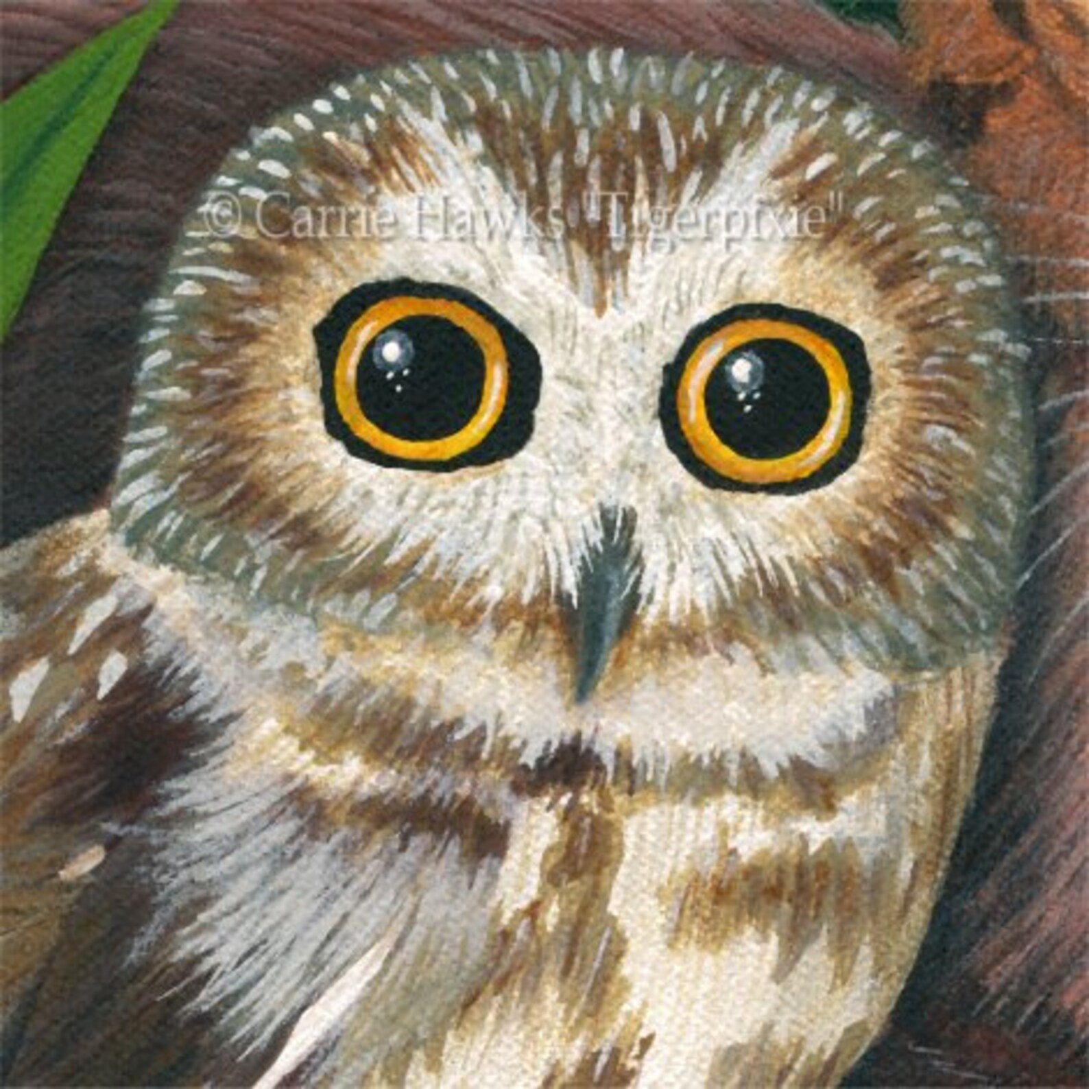 Cat Owls Art Cat Painting Saw Whet Owl Abyssinian Cat Art | Etsy
