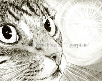 Fantasy Cat Art | Etsy