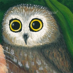Cat Owls Art Cat Painting Saw Whet Owl Abyssinian Cat Art Fantasy Cat ...
