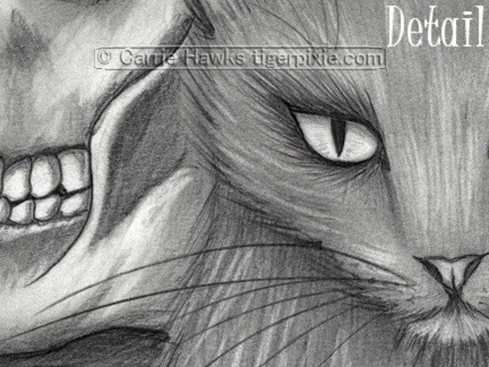 Black Cat Art Witch's Cat Drawing Vampire Skull Gothic Cat | Etsy