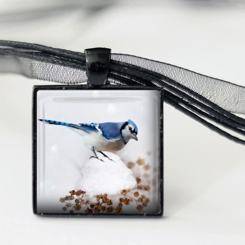Winter Blue Jay Pendant Necklace or Key Chain Winter - Etsy