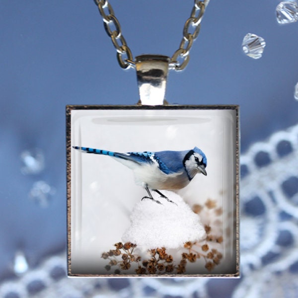 Winter Blue Jay Pendant Necklace or Key Chain Winter | Etsy