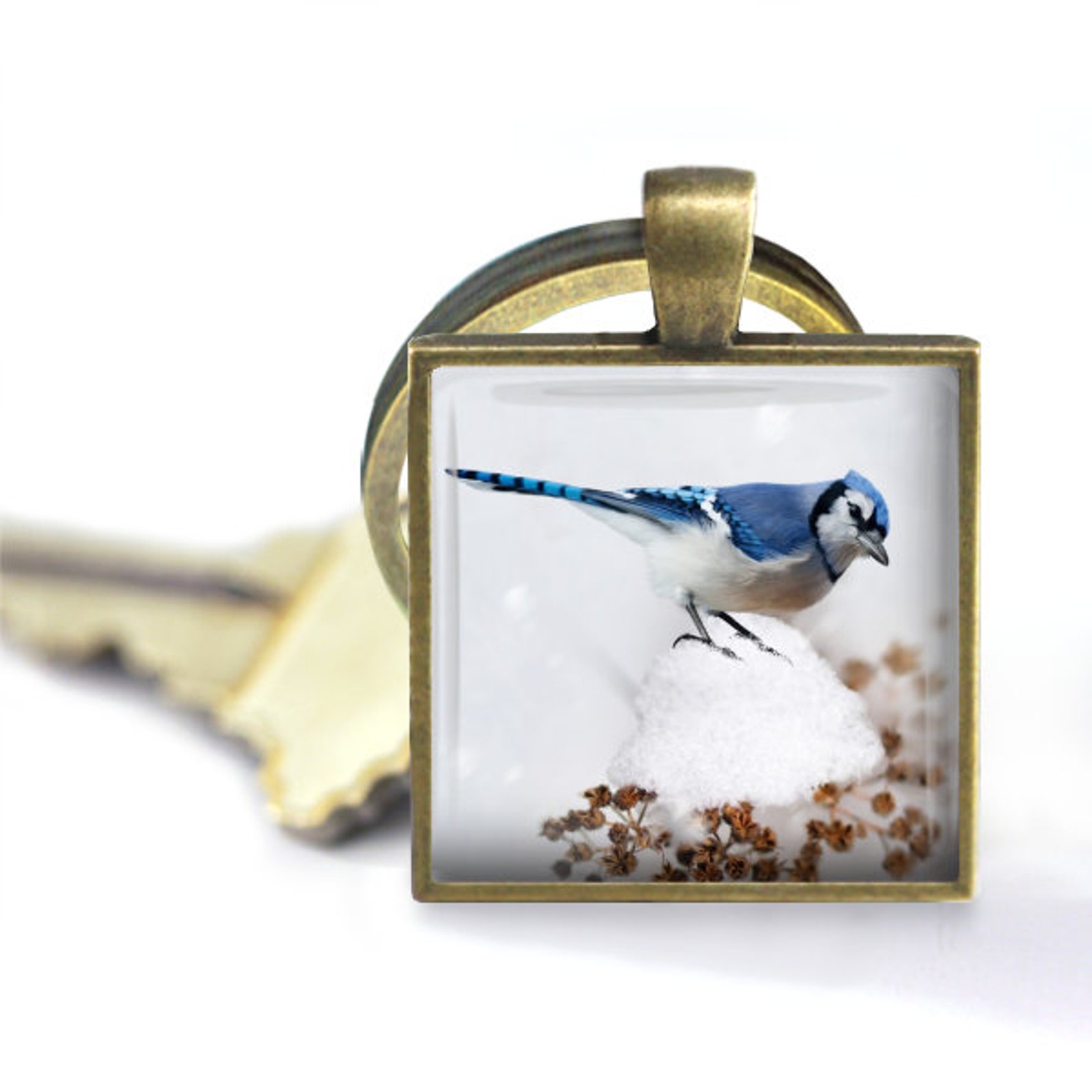 Winter Blue Jay Pendant Necklace or Key Chain Winter - Etsy
