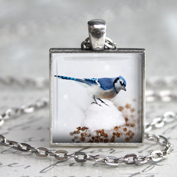 Winter Blue Jay Pendant Necklace or Key Chain Winter | Etsy