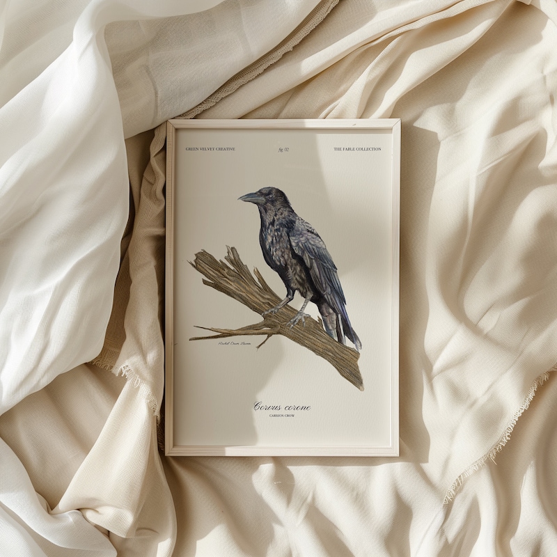 Scientific Illustrations - Etsy