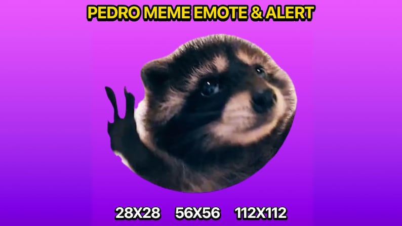 PEDRO Dancing Raccoon Meme Emote: Animated Twitch Alert (gif & MP4) - Etsy