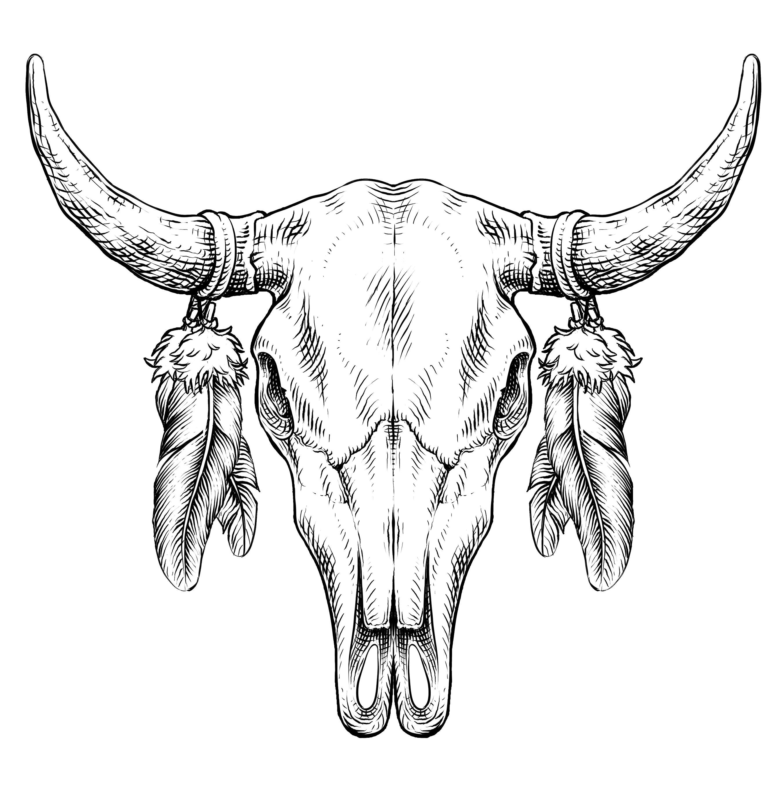 Hand Drawn Western Bull Skull PNG Bundle, Cow Skull Digital Download ...