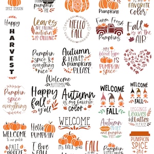 31 Fall Graphics Bundle - PNG, SVG, EPS, Ai Files | Autumn Leaves ...