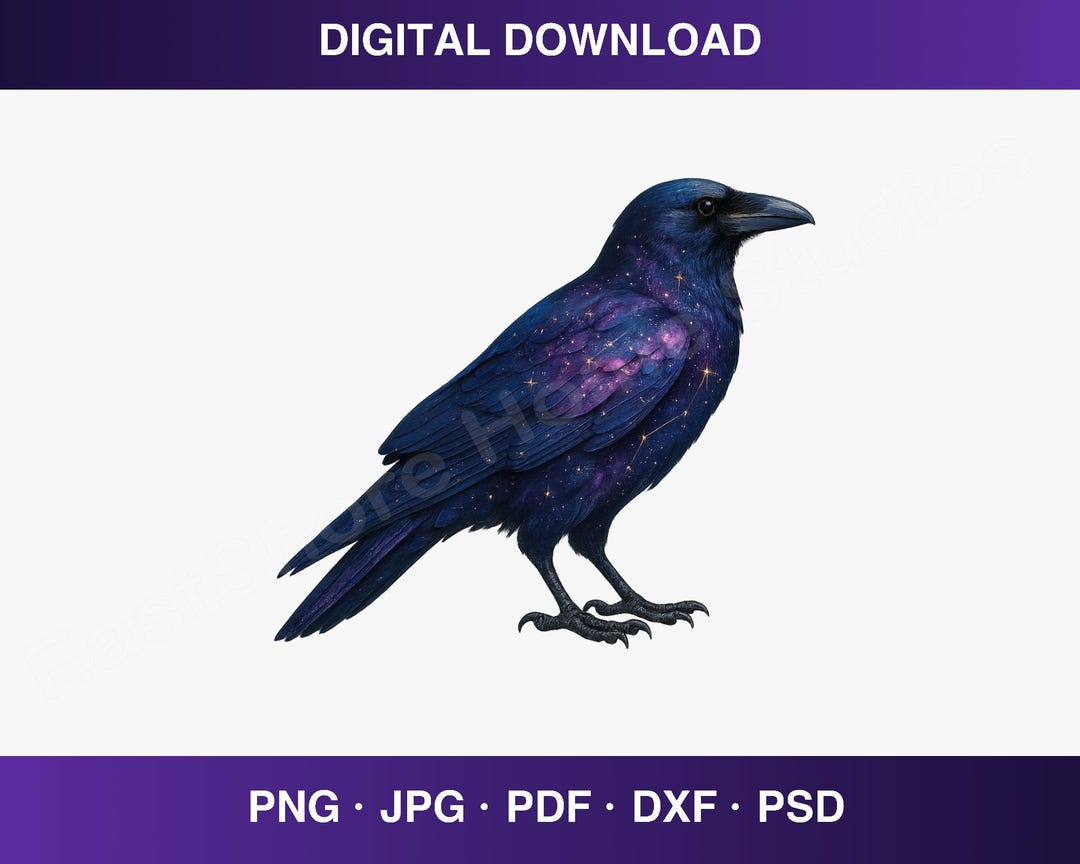 Celestial Raven PNG, Galaxy Crow Clipart, Fantasy Raven Sublimation ...