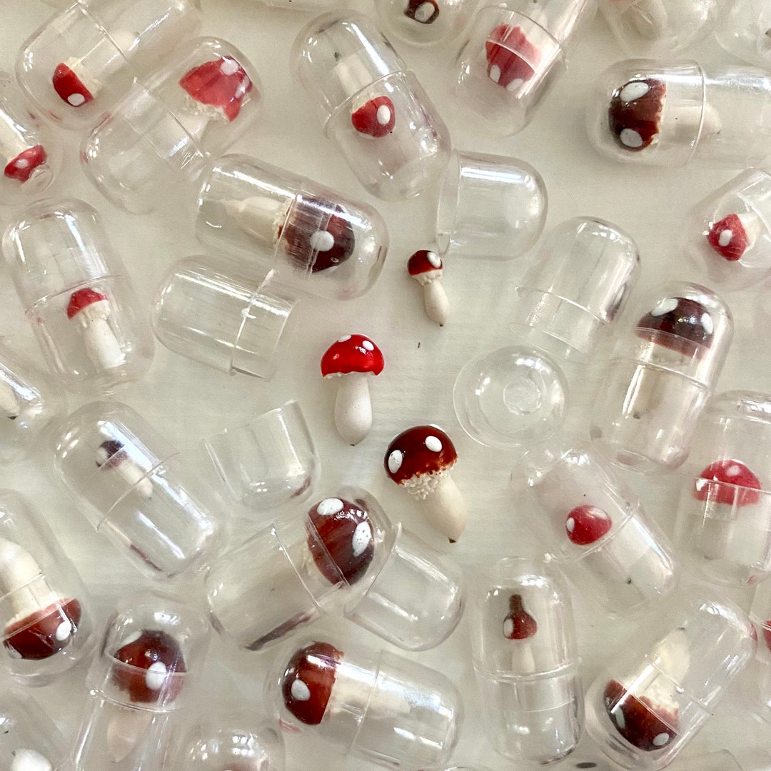 5pcs MINIATURE MUSHROOM CAPSULES Vintage Mushroom Miniatures in Pills ...