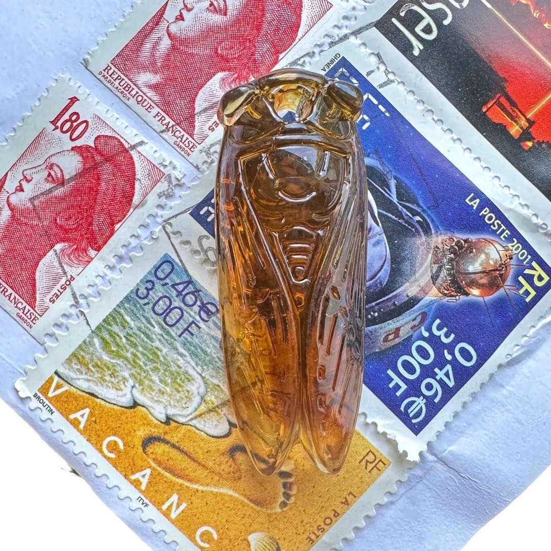 1pc AMBER ACRYLIC CICADA 1.75” Plastic Jewelry Insect Charm Amulet ...
