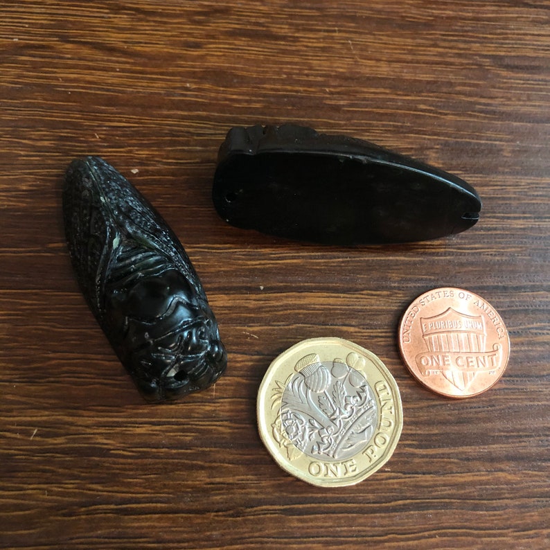1pc CARVED STONE CICADA Intricately Detailed Tumbled Black - Etsy