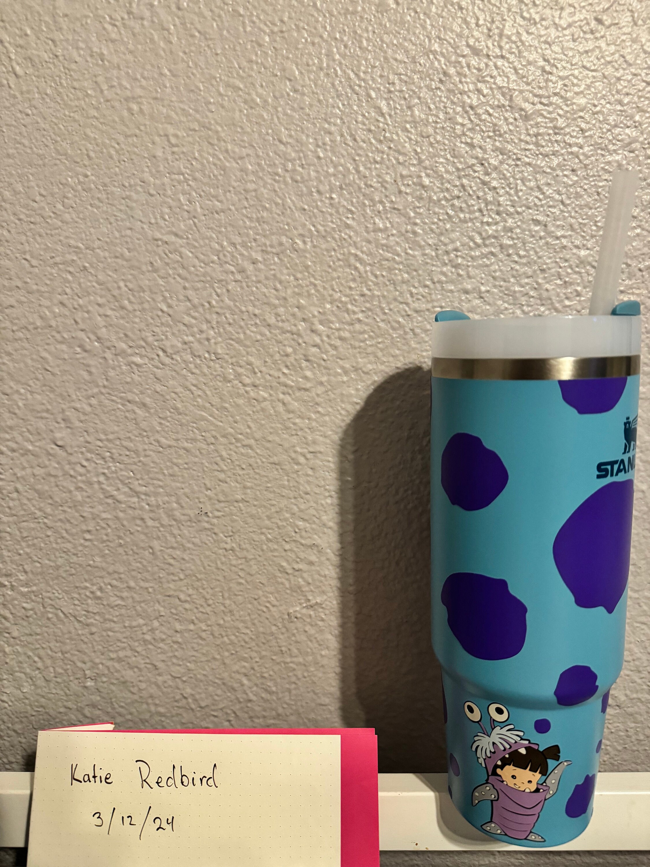 Sully Monsters Inc Tumbler - Etsy