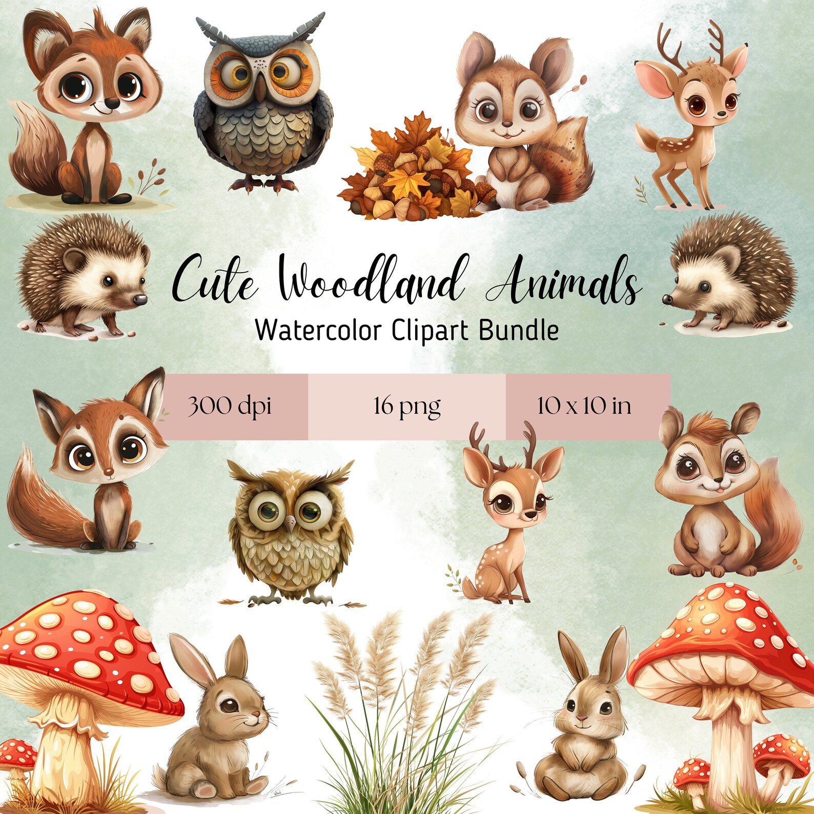 Cute Woodland Animals PNG- Clipart for Commercial Use, Transparent ...