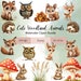 Cute Woodland Animals PNG- Clipart for Commercial Use, Transparent ...