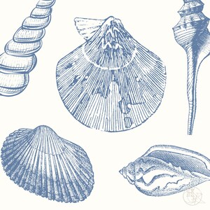 Beachy Christian Wall Art Print Blue Home Decor, Religious Modern Art ...