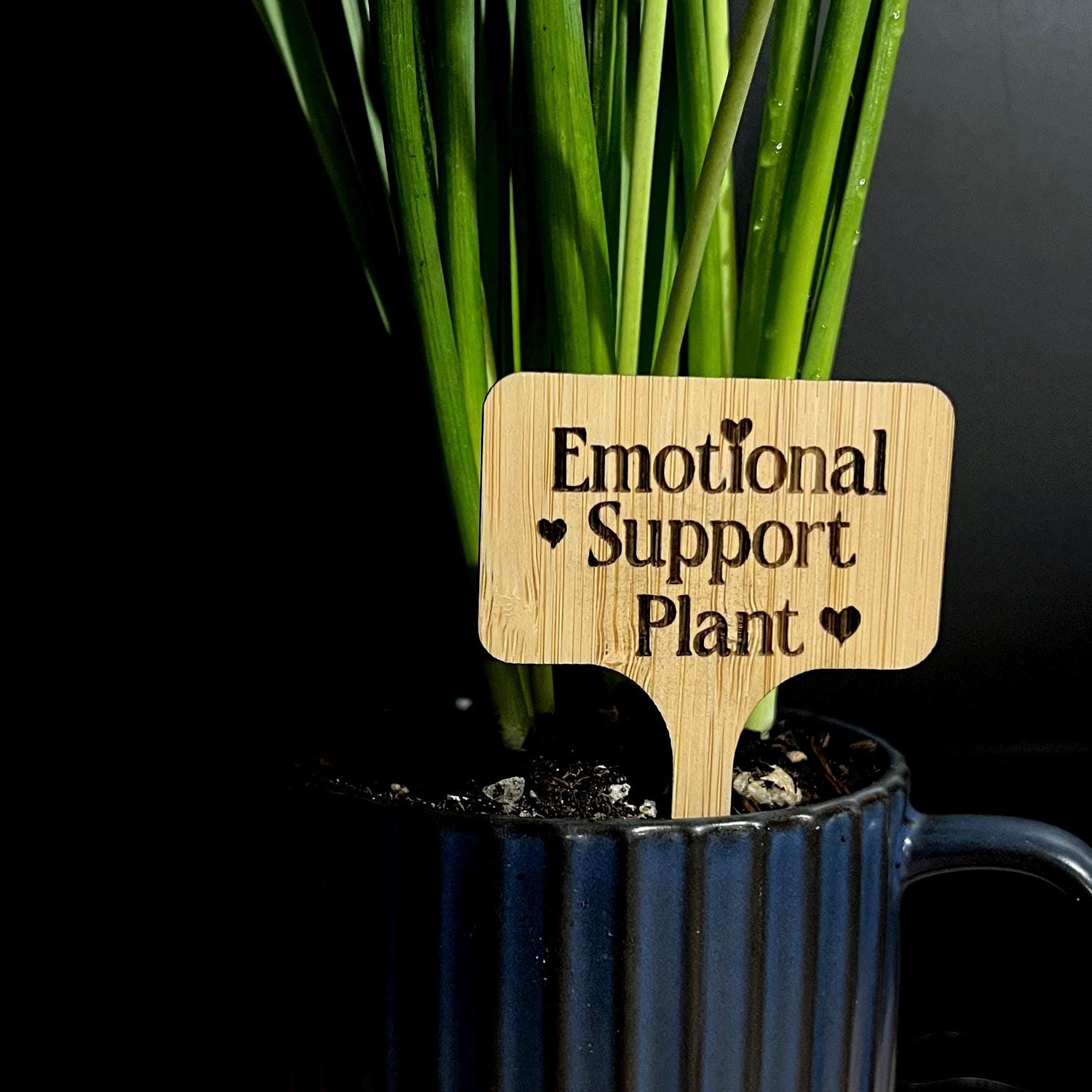 Funny Bamboo Plant Markers: Joke Garden Stakes, Set of 10 - Etsy