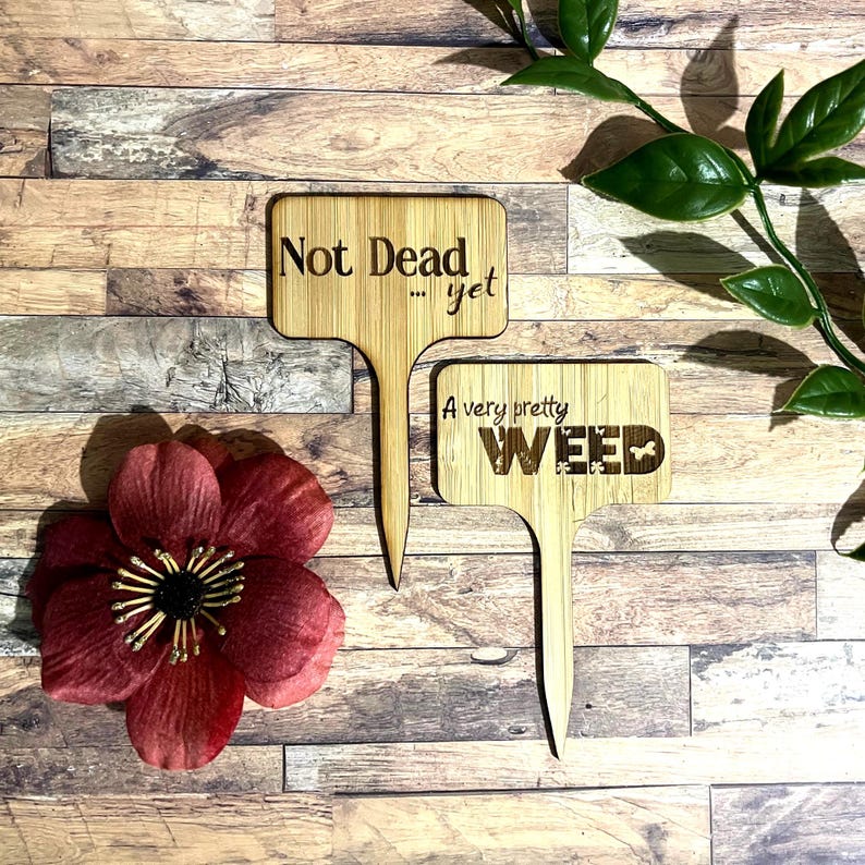 Funny Bamboo Plant Markers: Joke Garden Stakes, Set of 10 - Etsy