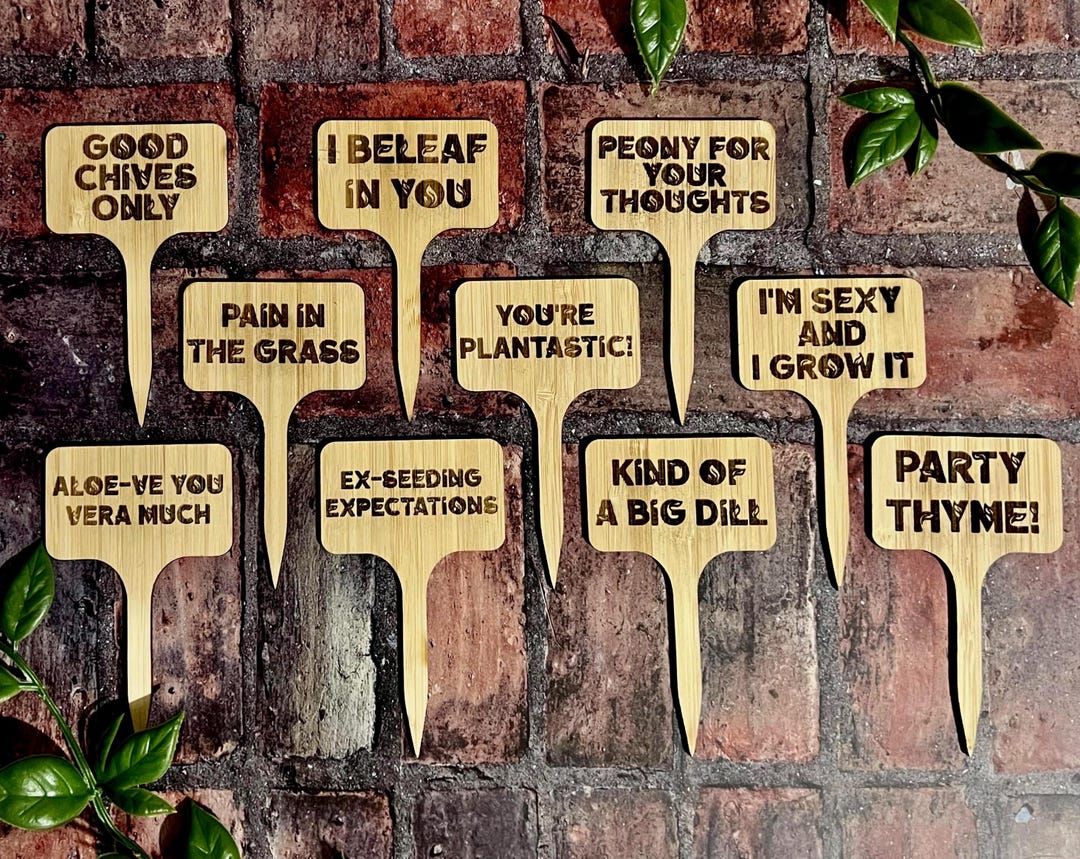 Punny Bamboo Plant Markers: Funny Garden Puns (set of 10) - Etsy