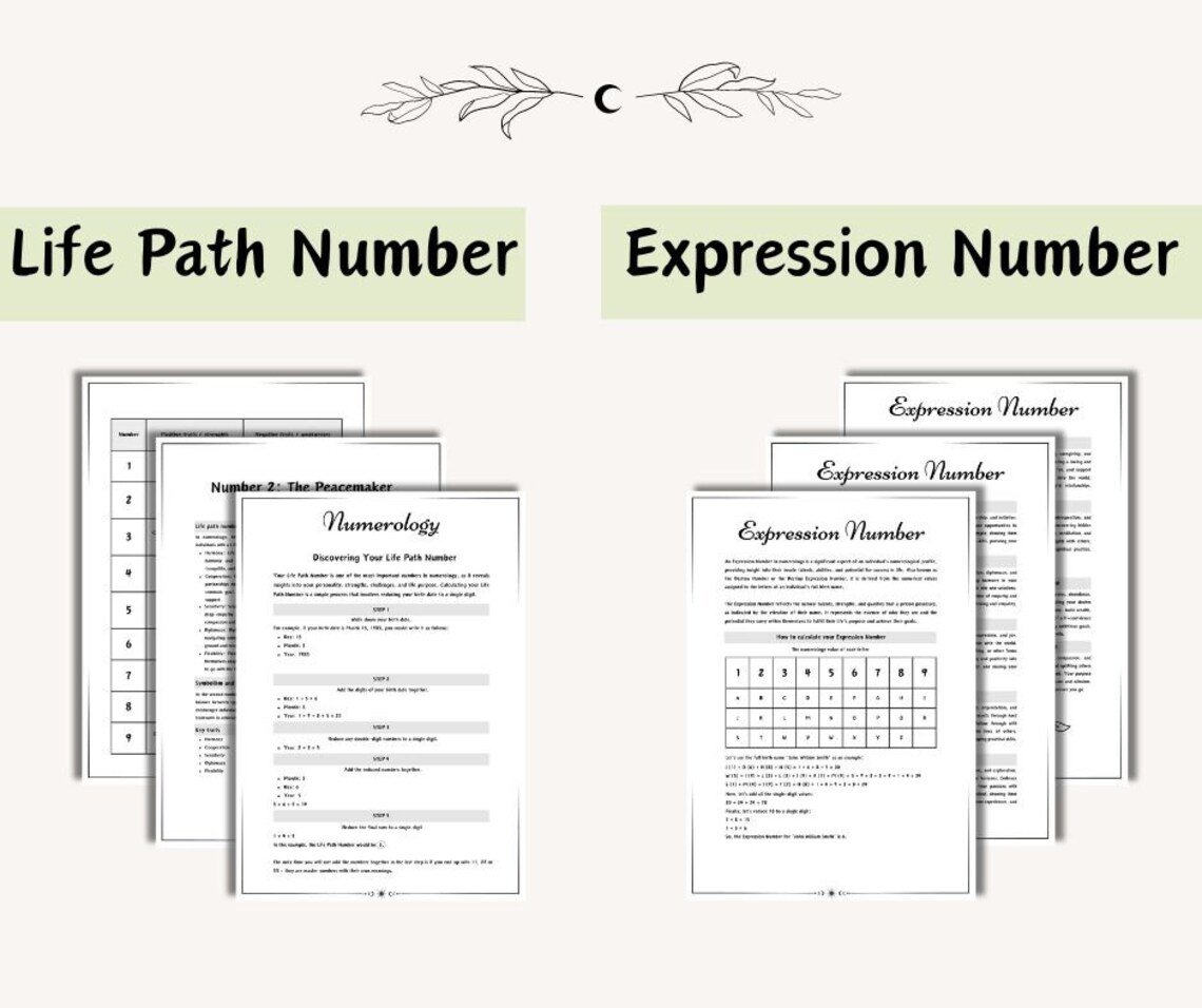 Numerology Basics Guide | Life Path, Expression, Heart's Desire Numbers ...