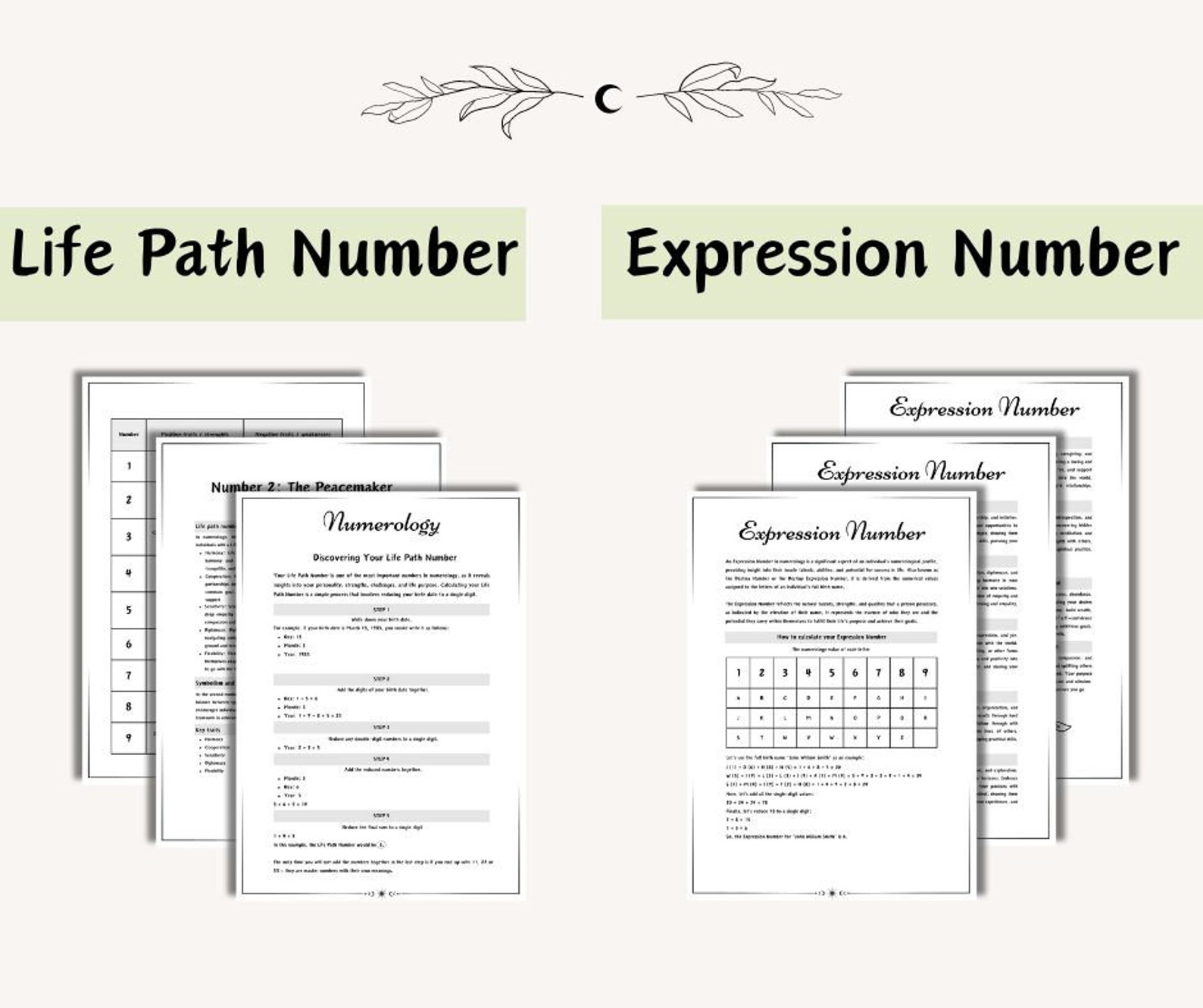 Numerology Basics Guide | Life Path, Expression, Heart's Desire Numbers ...