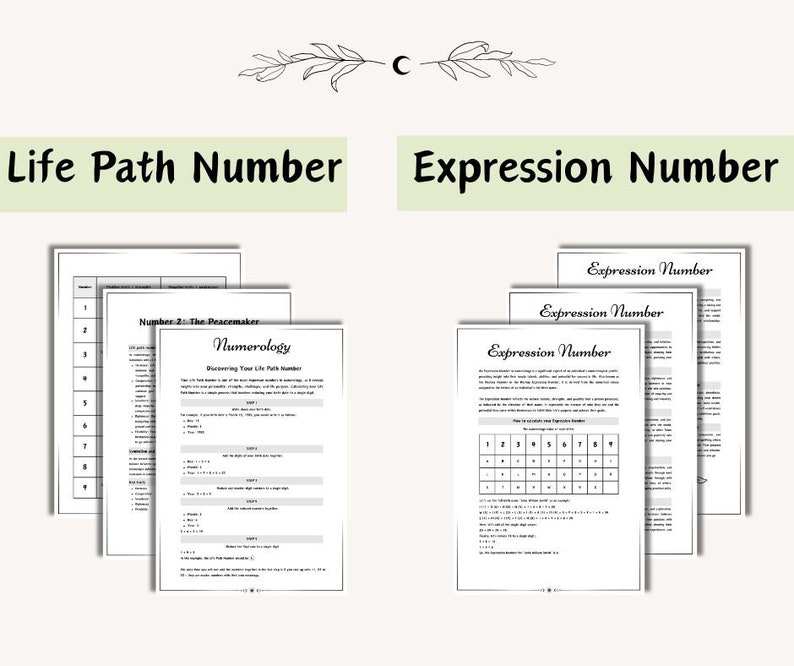 Numerology Basics Guide | Life Path, Expression, Heart's Desire Numbers ...