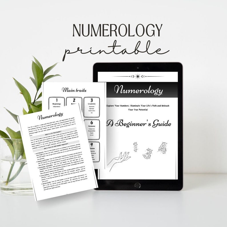 Numerology Basics Guide | Life Path, Expression, Heart's Desire Numbers ...
