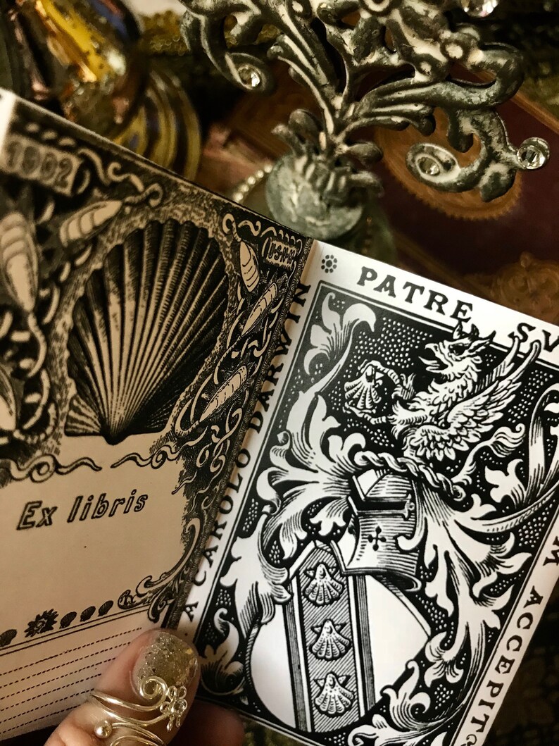 Mini Art Zine Antique Ex Libris French Book Plate Black and - Etsy